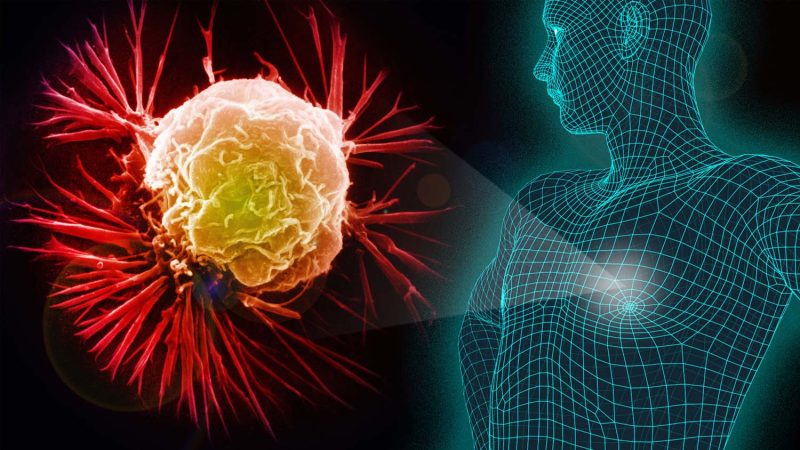 Saffron is effective for cancer prevention and treatment